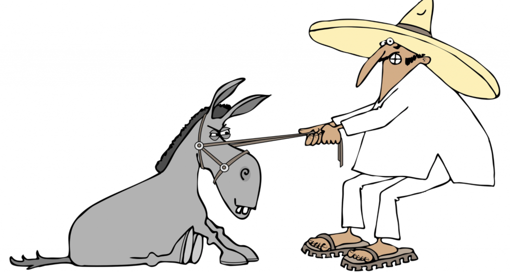 Blog - School for Experiential Education